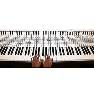 QMG Piano and Keyboard Note Chart for 88 Keys, Use Behind the Keys, Ideal Visual Tool for Beginners Learning Piano or Keyboard, Easy to Set Up
