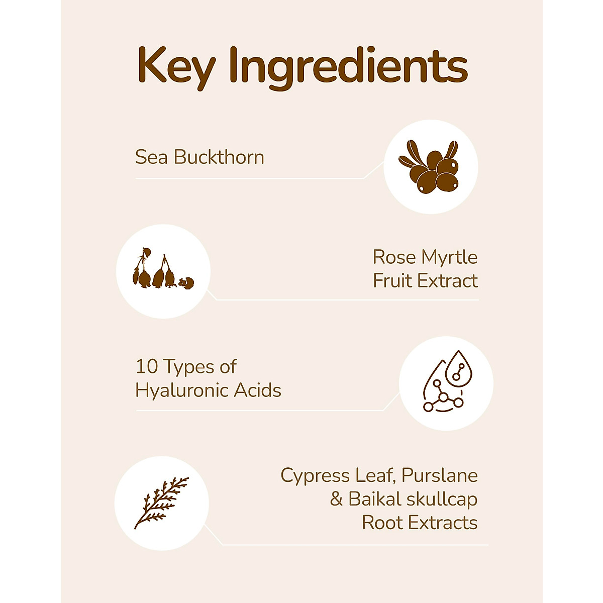 ROKKISS Skin-Balancing Oil Mist (3.4fl oz x 2ea) - Soothes, Moisturizes & Balances Skin. Sea Buckthorn, Hyaluronic Acid - Korean Skin Care