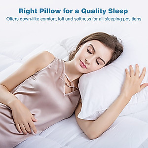 Acteb Pillows Standard Size Set of 2 Pack Bed Basic Sleeping Pillow Medium Supportive & Soft for Side Back Stomach Sleeper 20x26in
