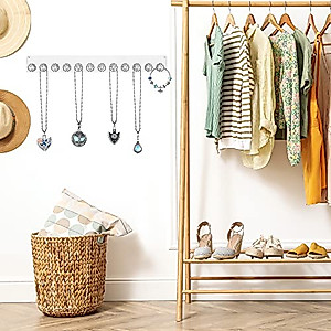 ChengFu Acrylic Urn Necklace Holder, Urn Necklace Hanger, Wall Mounted Jewelry Organizer Hanging with 12 Hooks, Necklace Holder for Urn Necklace