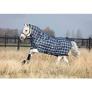 Horseware Ireland Rhino Plus Pony Turnout Blanket (200g Medium, 100g Hood), Size: 66, Color: Navy Check (Teal Trim)