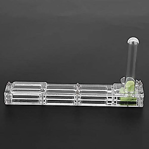 Acrylic Ant Farm, Ant Breeding Box, Durable Easy to Install with Water Tower Moisturizing for Ant for Insect Garden School Household(Transparent nest)