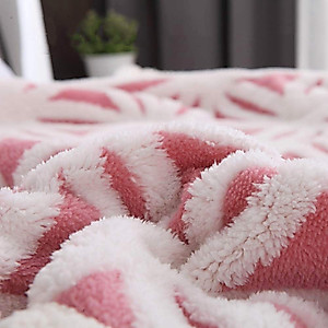 LOMAO Sherpa Fleece Blanket Fuzzy Soft Bed Blanket Dual Sided Throw Blanket fit Couch Sofa (Pink,51x63)