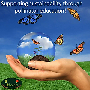 Sunflower Wildflower Seeds Mix - 1oz, Open-Pollinated Wildflower Seed Mix Packets, Non-GMO, No Fillers, Annual Sunflower Seeds, Summer Planting - 1 oz