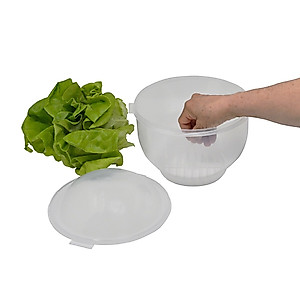 Lettuce Keeper | Vegetable and Fruit Crisper | Lettuce Crisper Salad Keeper Container Keeps your Salads and Vegetables Crisp and Fresh-7" X 8"- by Home-X