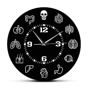 The Geeky Days Human Body Internal Organs Anatomy Wall Clock Anatomical Medical Wall Art Silent Sweep Wall Watch Doctors Biology Student Gift
