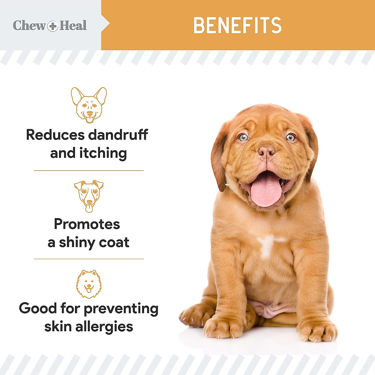 Salmon Oil for Dogs - 60 Soft Chew Omega Treats for Skin and Coat - Fish Oil Blend of Essential Fatty Acids, Omega 3 and 6, Vitamins, Antioxidants and Minerals - Made in USA