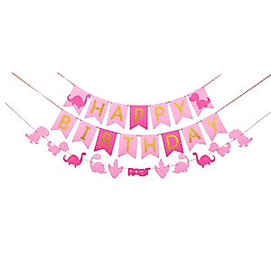 Dinosaur Party Decorations for Baby Girls-1 Happy Birthday Banner, 1 Dino-mite Garland,6 Pink Paper Fans, 12 Dino Balloons-Birthday Supplies and Favors for Kid's Christmas Thanksgiving 1st 2nd 3rd