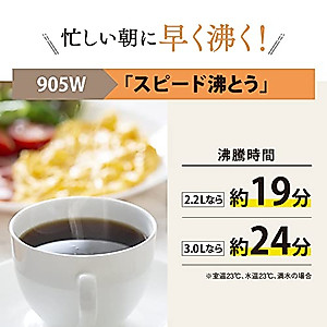 ZOJIRUSHI Microcomputer Boiling VE Electrical Thermos"優湯生 (Yuutousei)" (3.0L) CV-GA30-TA【Japan Domestic genuine products】