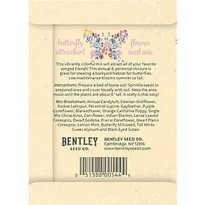 Make My Heart Flutter! 25 Bird & Butterfly Wildflower Seed Packets for Planting - A Beautiful Valentine's Day Gift - Flower Seeds - Garden Seed to Grow Live Plants - Bentley Seed Co.