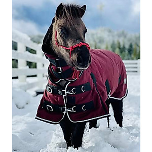 Mini-Pony 1200 D Waterproof Ripstop Blanket 350 Heavyweight Fill (46-48", Burgundy)