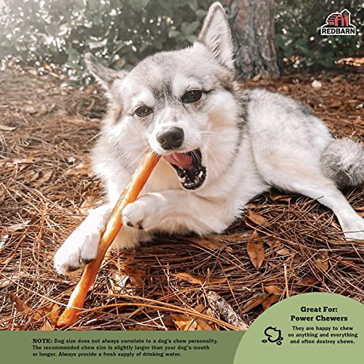 Redbarn All-Natural Large 12” Beef Collagen Sticks for Dogs - Long Lasting Low-Odor Alternative to Traditional Rawhide & Bully Sticks - Supports Healthy Joints, Skin, & Coat - 3 Pack