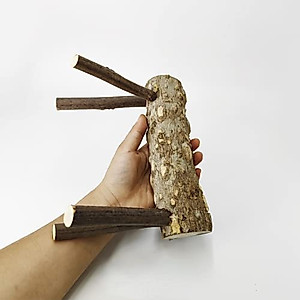 Bird Training Stand Portable Tabletop Bird Natural Wood Perch Training Perch Parrot Training Playground Bird Cage Toys Accessories for Small Parakeet Cockatiel Budgie