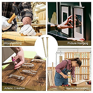 6 Sizes Gold Hardware Nails Assortment Kit, 358pcs, Brass Plated, Nails for Hanging Pictures, Finishing Nails, Wood Nails, Wall Nails for Hanging (3”, 2”, 1-1/2”, 1-1/4", 1”, 3/4")