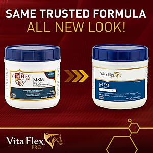 Vita Flex Pro Horse MSM Quality Joint Supplement, 1 Pound