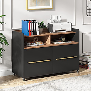 Tribesigns 2 Drawer File Cabinet Rolling Filing Cabinets for Home Office Black lateral File Cabinet Wood File Cabinet for Letter Size, Printer Stand with Rolling Wheel and Open Storage Shelves