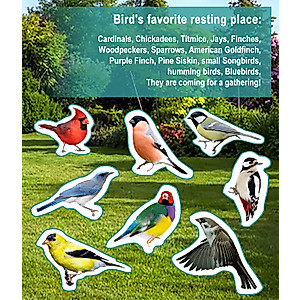 Garbuildman Extra-Large Freestanding Birdbaths Bowl, Detachable Decoration Spa with Metal Stake Stand & Birdfeeder for Outdoor Garden, Oval Style, Chocolate