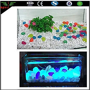 Glow in The Dark Pebbles (500pcs White Glows Blue) - Indoor Outdoor Garden Stones Moonlight Yard Plant Decorations Fish Tank Aquarium Rocks Solar Backyard LED Decor