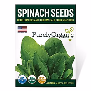 Purely Organic Spinach Seeds (Bloomsdale Long Standing) - Approx 300 Seeds - Certified Organic, Non-GMO, Open Pollinated, Heirloom, USA Origin