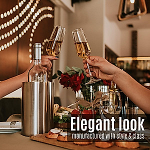 Wine Bottle Chiller, Wine Chiller Bucket with Ice Pack for 750ml White Wine Bottle or Champagne, Stainless Steel Wine Cooler Bucket, Champagne Bucket Perfect Wine Accessories for Wine Lovers