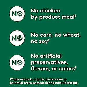 NUTRO Crunchy Dog Treats with Real Mixed Berries, 16 oz. Bag