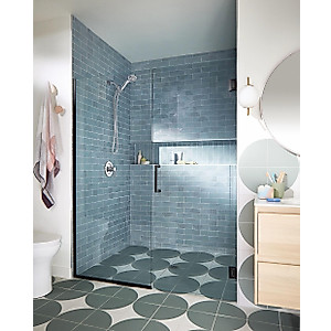 Moen 209H0 Ignite Handheld Shower, Chrome