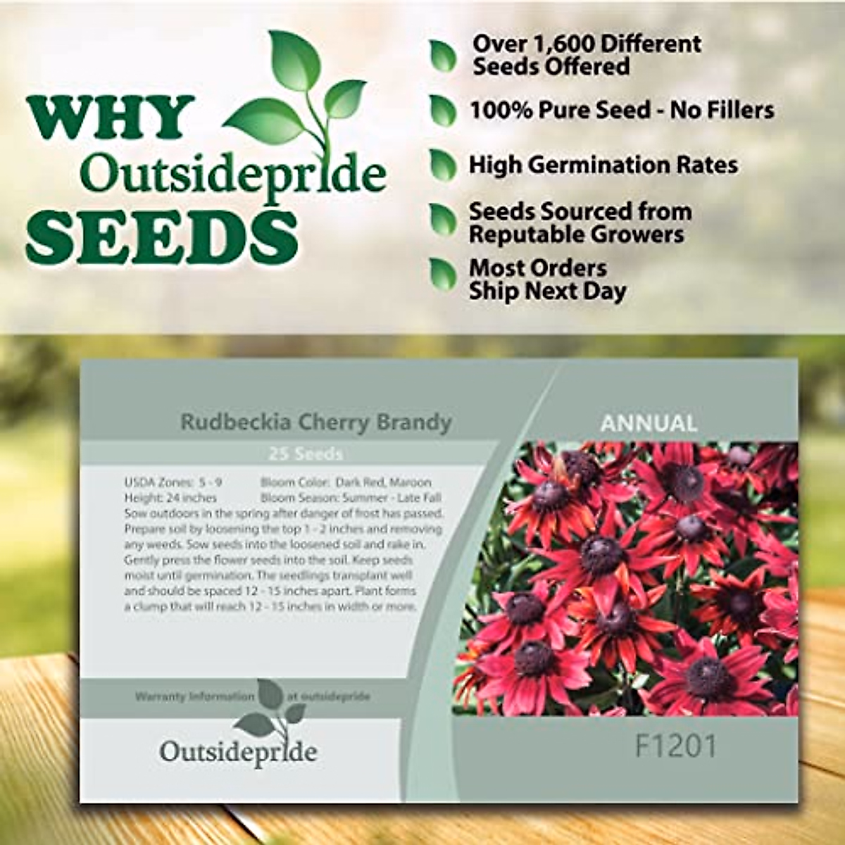 Outsidepride Annual Rudbeckia Hirta Cherry Brandy Garden Flowers - 25 Seeds