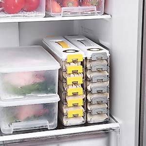 Dumpling Box Refrigerator Organizer Stackable Storage with Lids and Handle, Portable Multi Layer Quick Frozen Food Storage Container for Kitchen Fridge(4 Layer)