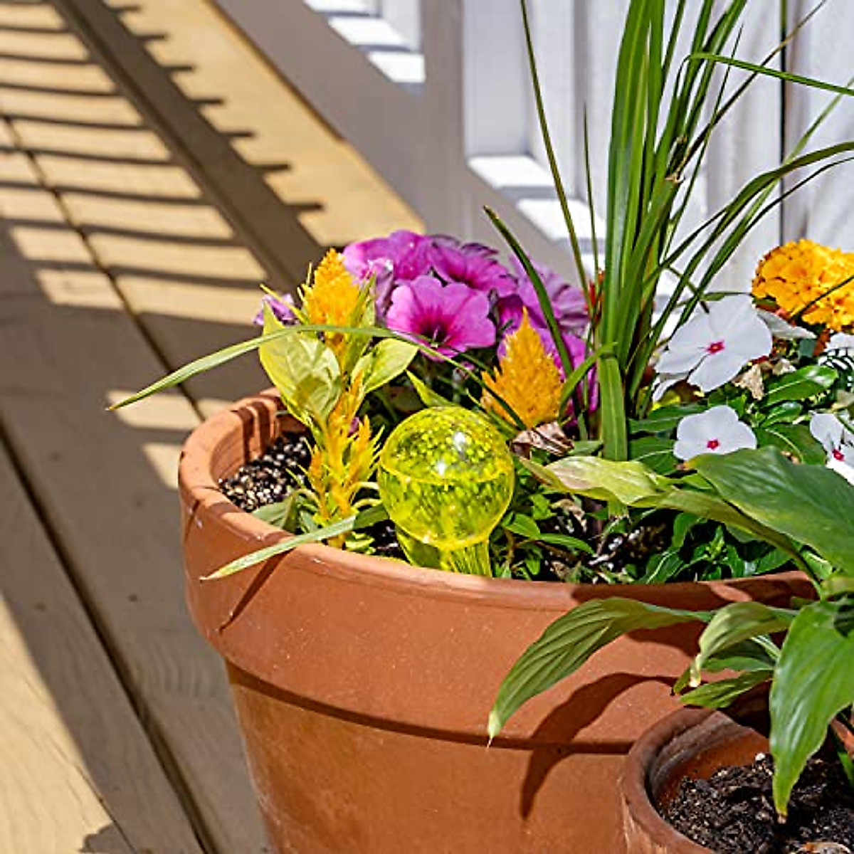 Wyndham House, 6 Piece Small Watering Globe Set, Colorful Hand-Blown Glass Plant Watering System