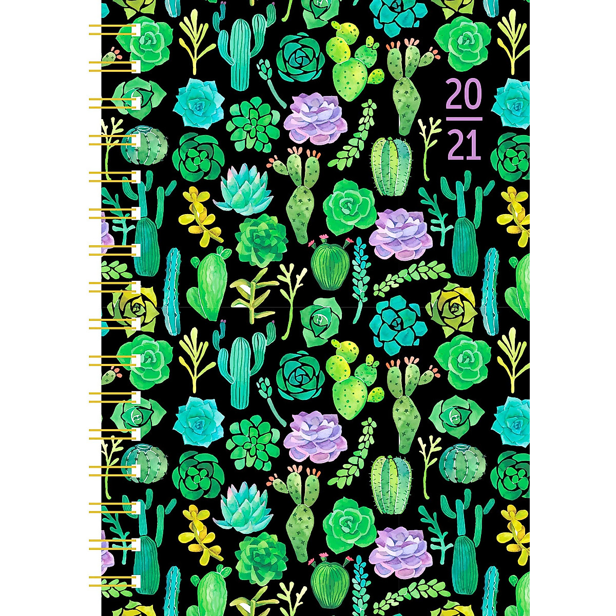 2021 Weekly To-Go 5x8 Wire-o Succulents Plastic