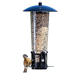 Perky-Pet 333-1SR Squirrel-Be-Gone Max Large Wild Bird Feeder with Flexports, Squirrel Proof Bird Feeder with Weight-Activated Perches - 3LB Seed Capacity