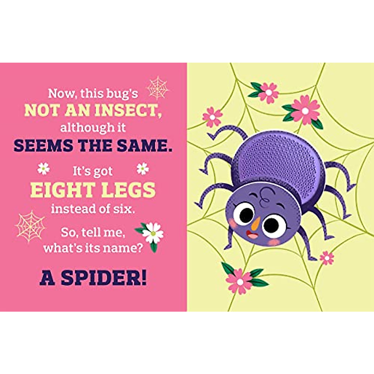 Backyard Bugs - Touch and Feel Board Book - Sensory Board Book