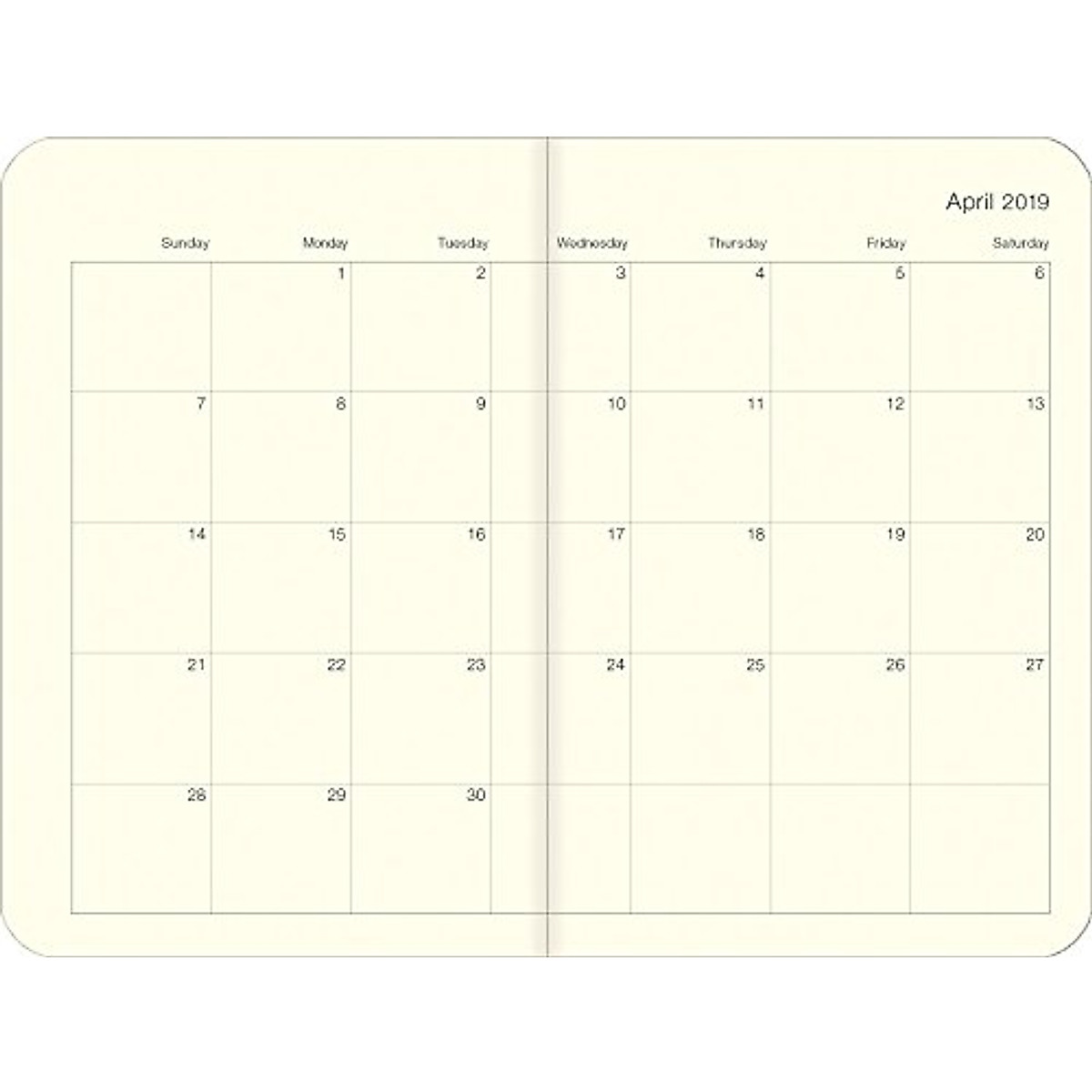 Cavallini Papers & Co. 2019 National Parks Weekly Planner, Multicolor