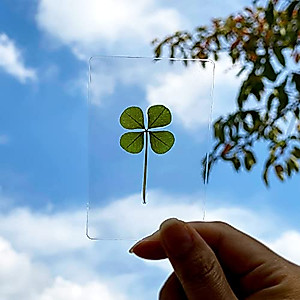 ARTMART Genuine Real Four-Leaf Green Clover St. Saint Patric's Day Bookmarks Irish Shamrock Good Luck Charm for Smartphone Wallet Case Amulet Purse Coating Gift Thanks Card M
