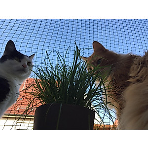 AIYGO Cat Netting Balcony Pet Mesh Fence for Balcony Black Nylon Balcony Netting for Pets Anti-Fall Cat Net for Balcony and Windows（10 * 20ft）