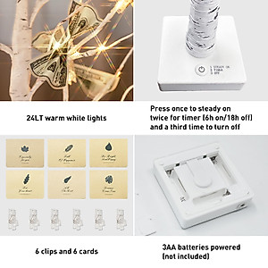 PEIDUO Money Tree, 22 Inch Gift Card Tree Holder with 6 Clips and 6 Greeting Cards, 24 Warm White Birch Tree with Lights, Christmas Tree Card Holder for Birthday Wedding Indoor Xmas Decorations