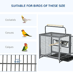 PawHut 18" Heavy Duty Wrought Iron Travel Bird Cage Carrier with Handle Perch and Accessories - Black