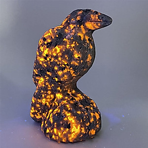 1pc Natural Yooperlite Crow Skull Quartz Crystal Skull Carved Figurines Gem 2.4"