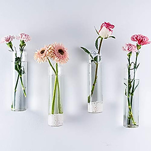 Kingbuy Wall Hanging Planter Glass Plant Propagation Station for Home Decor, Large Cylinder, 2 Pack