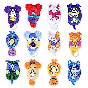 Dogs vs Squirls - Mystery Bag - 2pk - 4" Super-Soft & Bean-Filled Plushies! Collect These as Stocking Stuffers! Great for Advent Calendars - Great for Kids, Boys, & Girls!