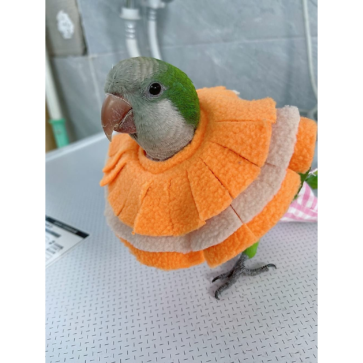 RRRIOT Adjustable Parrot Cone Collar, Safe and Practical Cotton Collar to Prevent Bites and Licking Wounds, to Help heal (2XL)