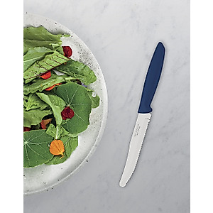 Tramontina Kitchen Knives Set of 6, Serrated Fruit Tomato Cooking Knife, Vegetable Chopper Peeler, Stainless Steel, Multipurpose, Rounded Tip, Blue, 23498155