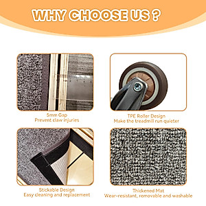 Homegroove Cat Exercise Wheel for Indoor Cat, 40" Large Cat Running Wheel with Carpeted Runway, Cat Treadmill Wheel for Kitty’s Longer Life, Cat Wheel for Fitness Weight Loss Device, Black(L)