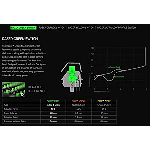 Razer BlackWidow TE Chroma v2 TKL Tenkeyless Mechanical Gaming Keyboard: Green Key Switches, Tactile & Clicky, Chroma RGB Lighting, Magnetic Wrist Rest, Programmable Macros, Classic Black