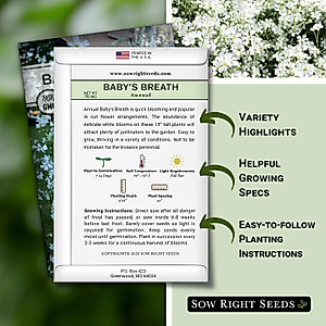 Sow Right Seeds - Annual Baby’s Breath Seeds for Planting - Non-GMO White Flowers Heirloom Packet with Instructions to Plant in Your Home Garden - Snow Like Blooms - Fresh and Dried Cut Flower (1)