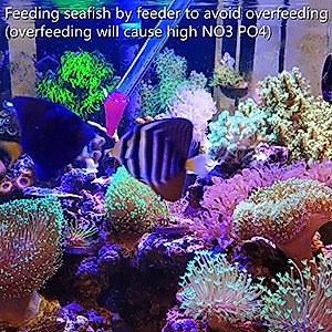 Aquarium Choice Coral Feeder Long Syringe Tube Liquid Fertilizer Feeder SPS HPS Marine Reef Coral Feeder Tool Fish Excreta Cleaner (1 Units 40CM/15.74 Inch)