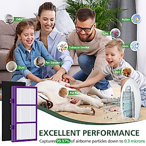HAPF300AP Performance Plus Replacement Filter for Holmes AER1 HAPF300AP-U4 air cleaner, 4 True HEPA+ 8 Carbon Pre Filters