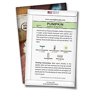 Sow Right Seeds - Galeux d'Eysines Pumpkin Seeds for Planting - Non-GMO Heirloom Packet with Instructions to Plant and Grow an Outdoor Home Vegetable Garden - Unique Squash - Wonderful Gardening Gift