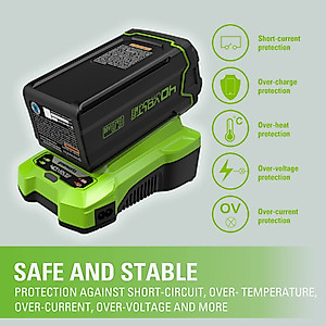 Greenworks 40V Battery Charger (Genuine Greenworks Charger)