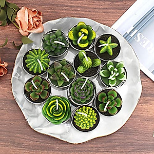 Outee 12 Pcs Cactus Tealight Candles Handmade Delicate Succulent Candle Cactus Candles Smokeless Aromatherapy Mini Candles Tea Lights 12 Styles for Home Décor Birthday Gift Party Wedding SPA